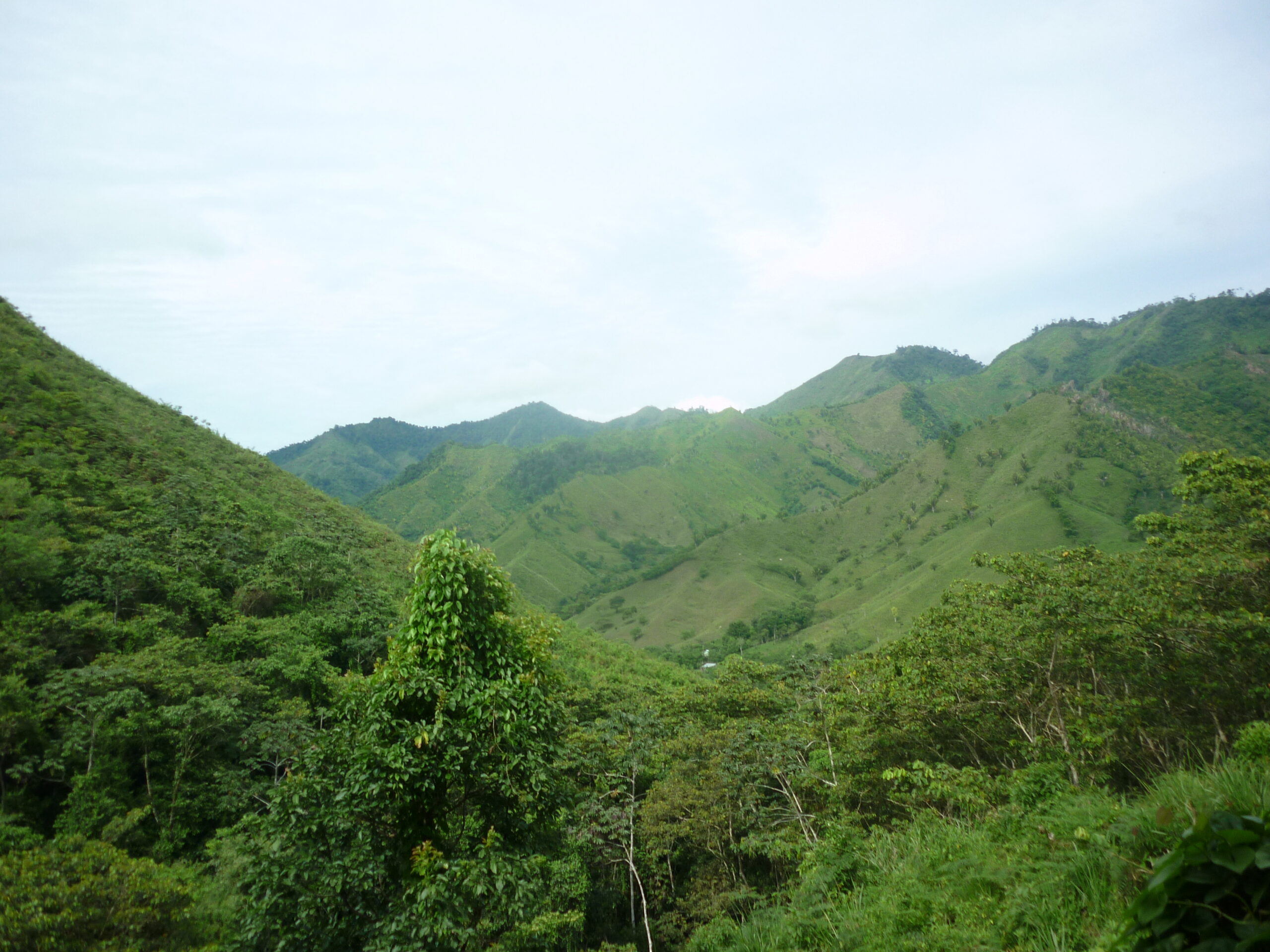Honduras - Verdens Skove